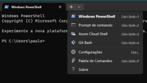 Como instalar o Git Bash no Windows Terminal - pauloribeiro.dev