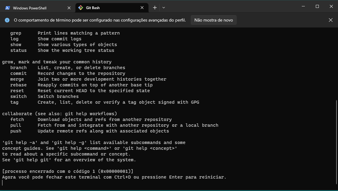 Como instalar o Git Bash no Windows Terminal - pauloribeiro.dev